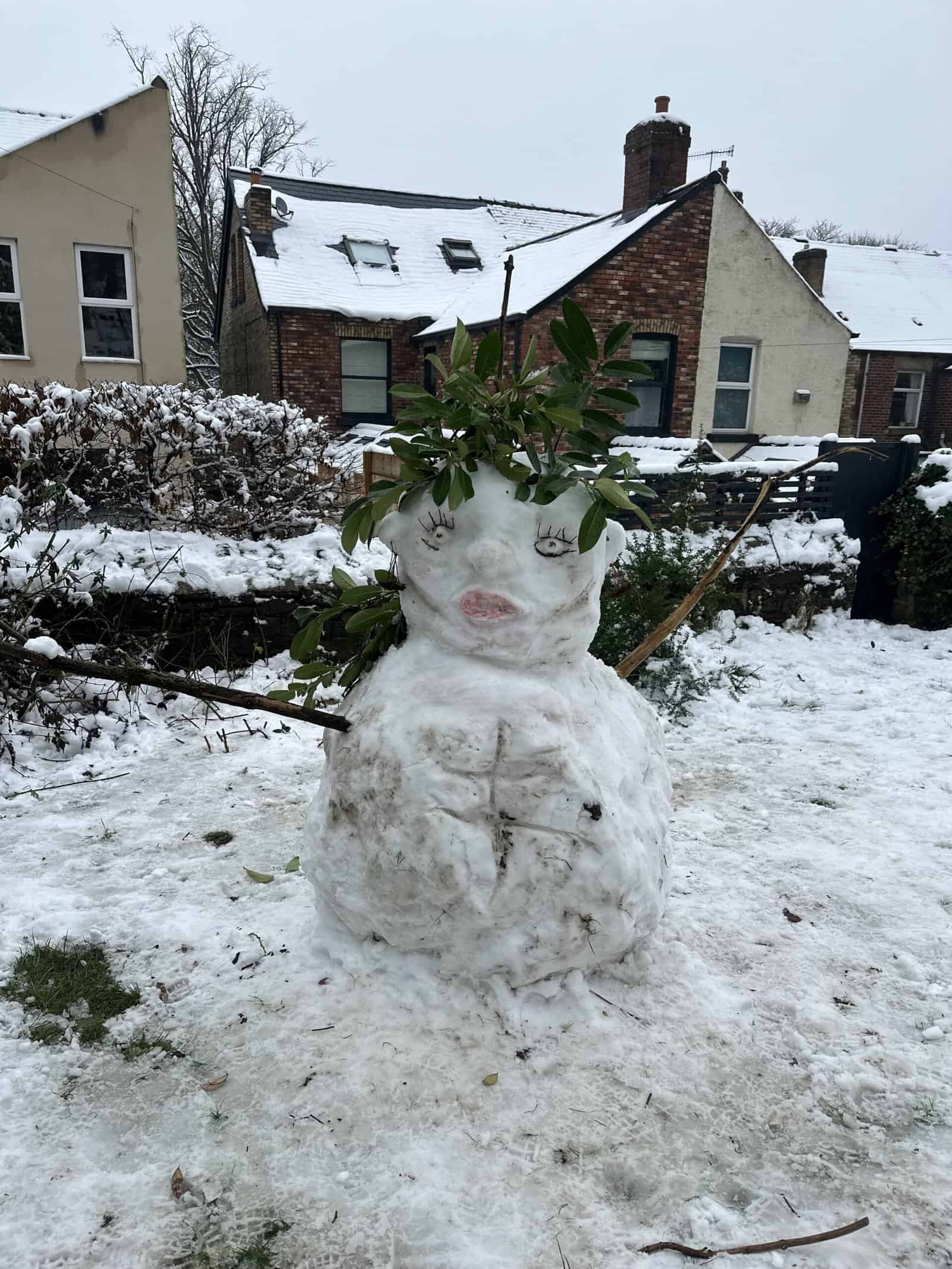 Survived the snow... - Sharrow Vale Dental Care